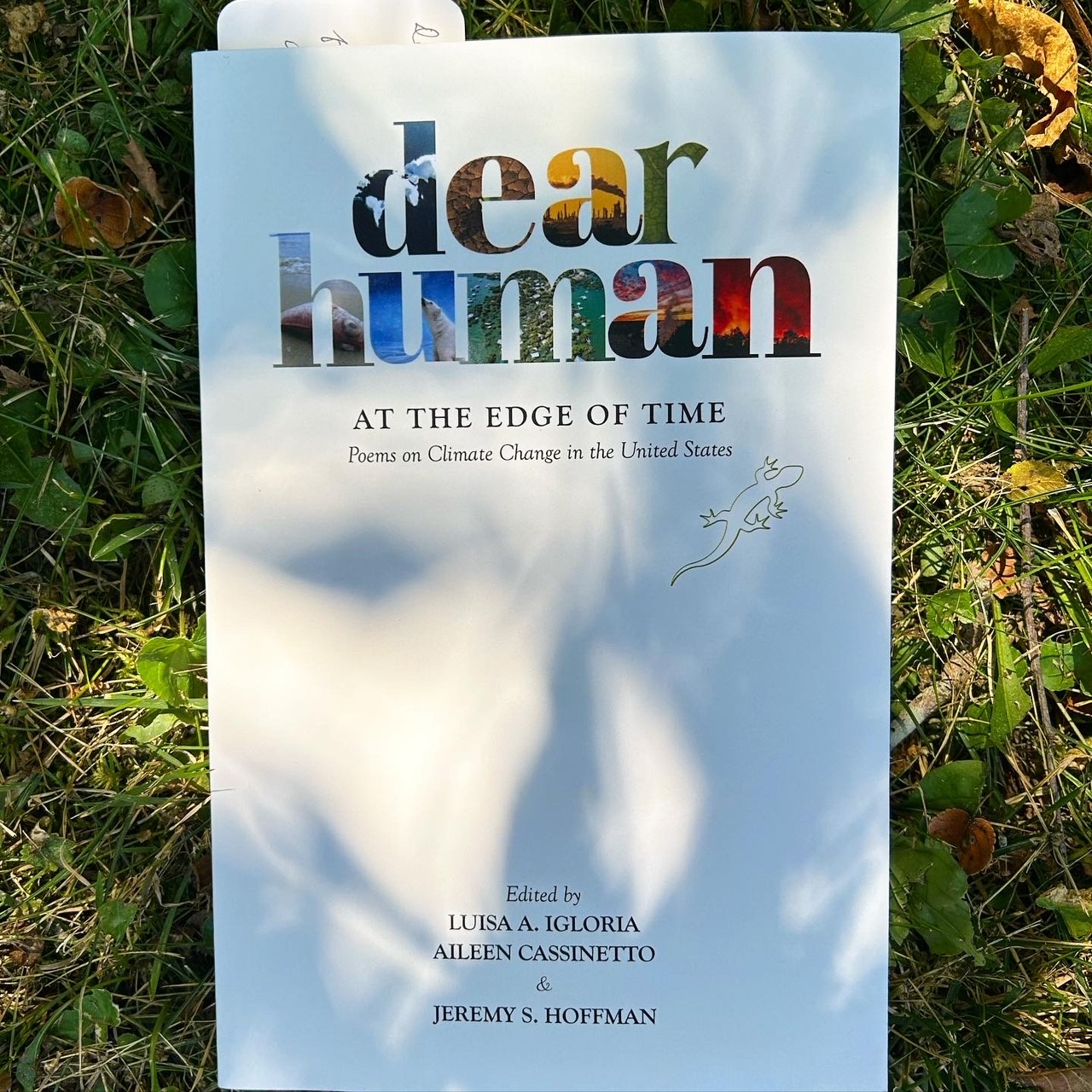 Lesley Wheeler – Paloma Press